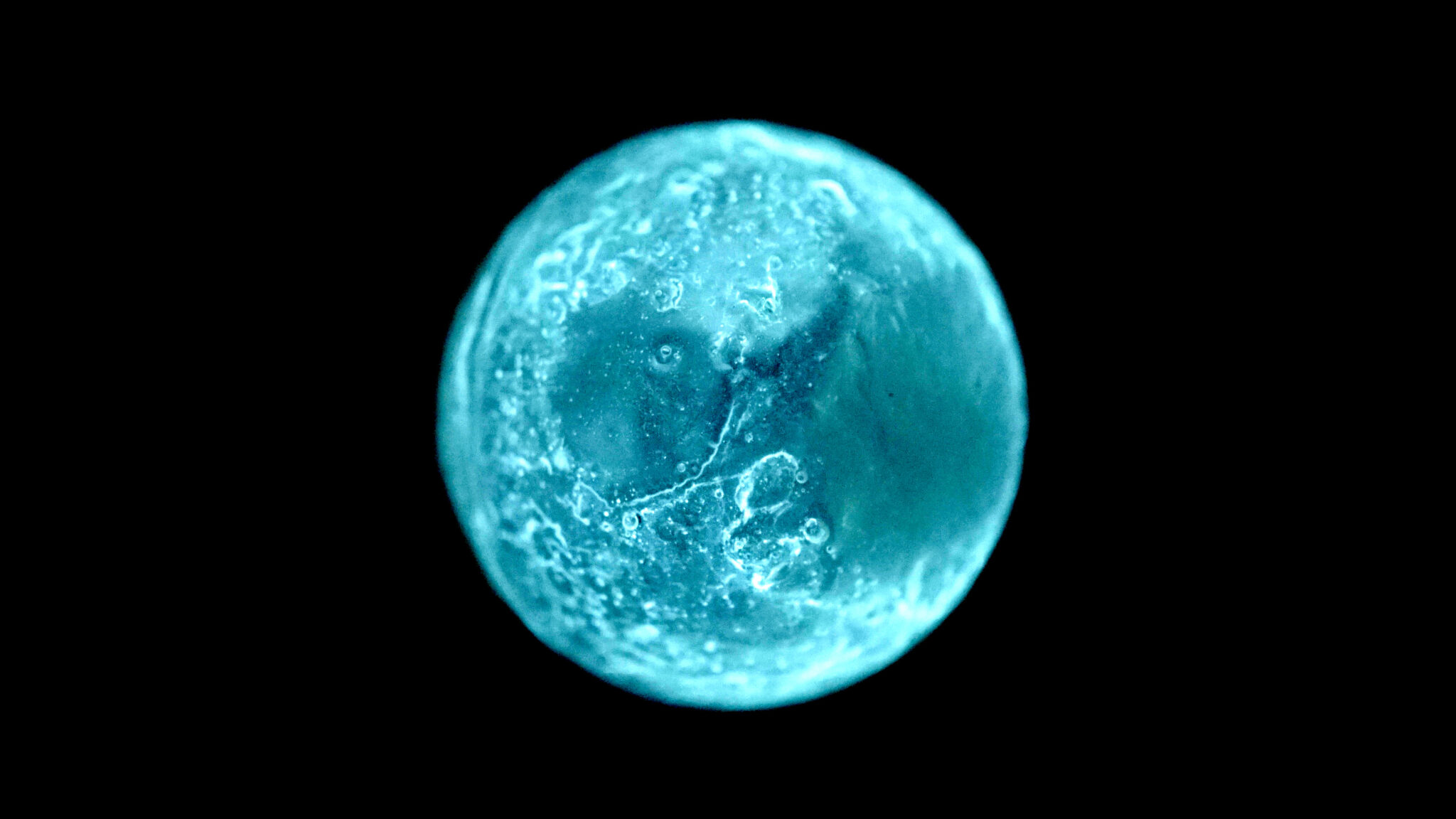 SENTIMENT OCÉANIQUE FESTIVAL - COAL